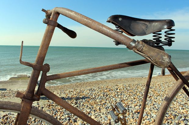 1889 Harry S Roberts Special Safety Bicycle – The Online Bicycle Museum