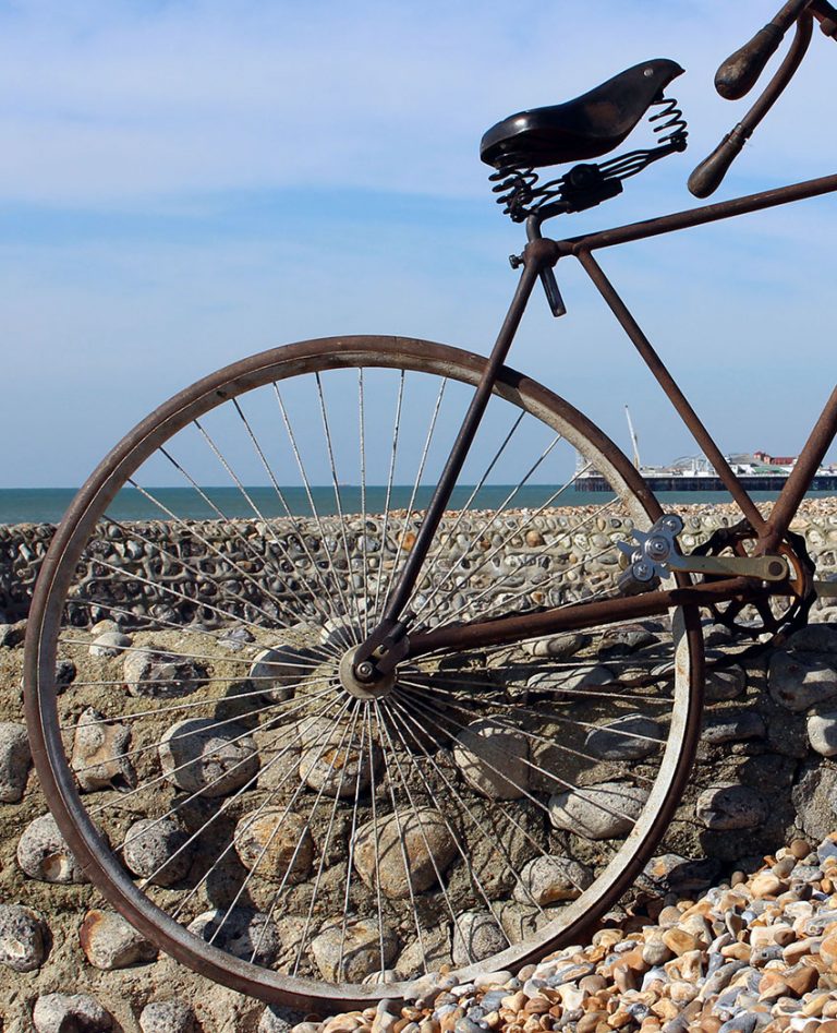 1889 Harry S Roberts Special Safety Bicycle – The Online Bicycle Museum