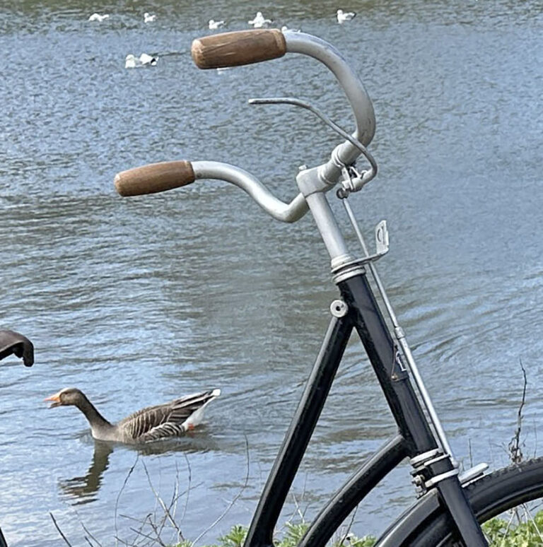 1920 Durkopp Diana Ladies' Cardan (Chainless) – The Online Bicycle Museum