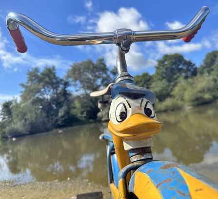 1949 Shelby DONALD DUCK Bike – The Online Bicycle Museum